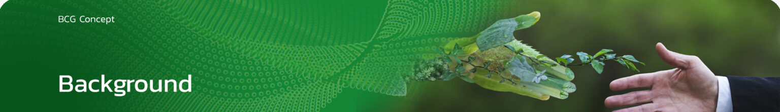 Background – BCG Economy Model