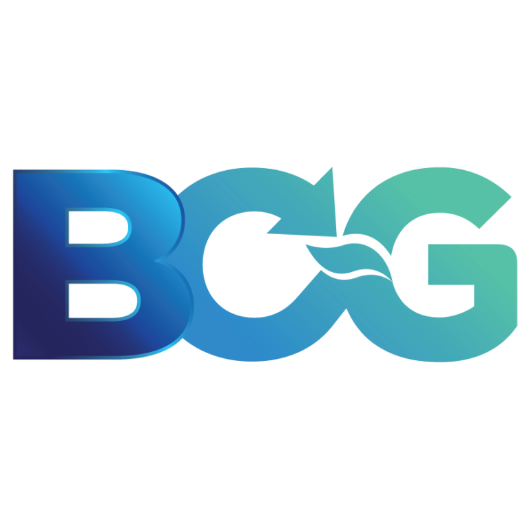 BCG Economy Model – BCG Economy Model