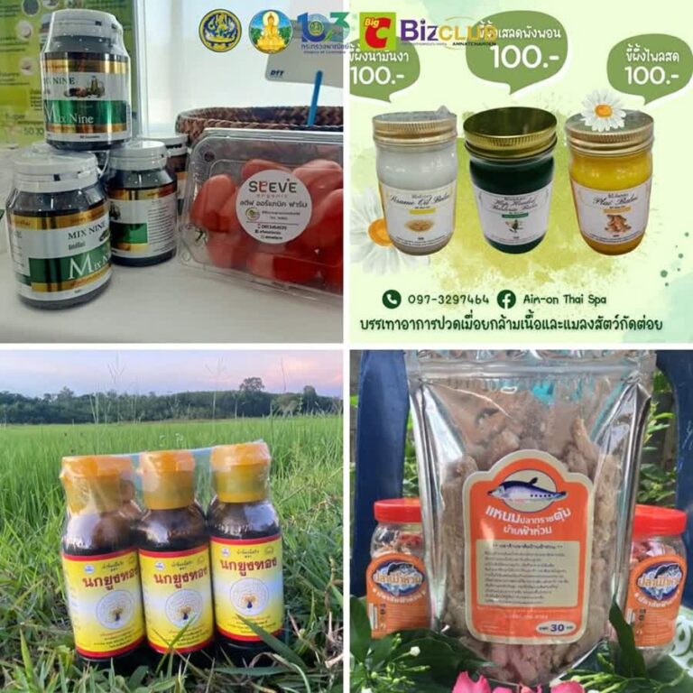 งาน “อำนาจเจริญ Local BCG Plus 2023 ” - BCG